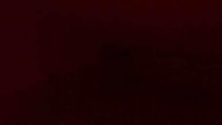 Devon made a really strange video... | Fandom