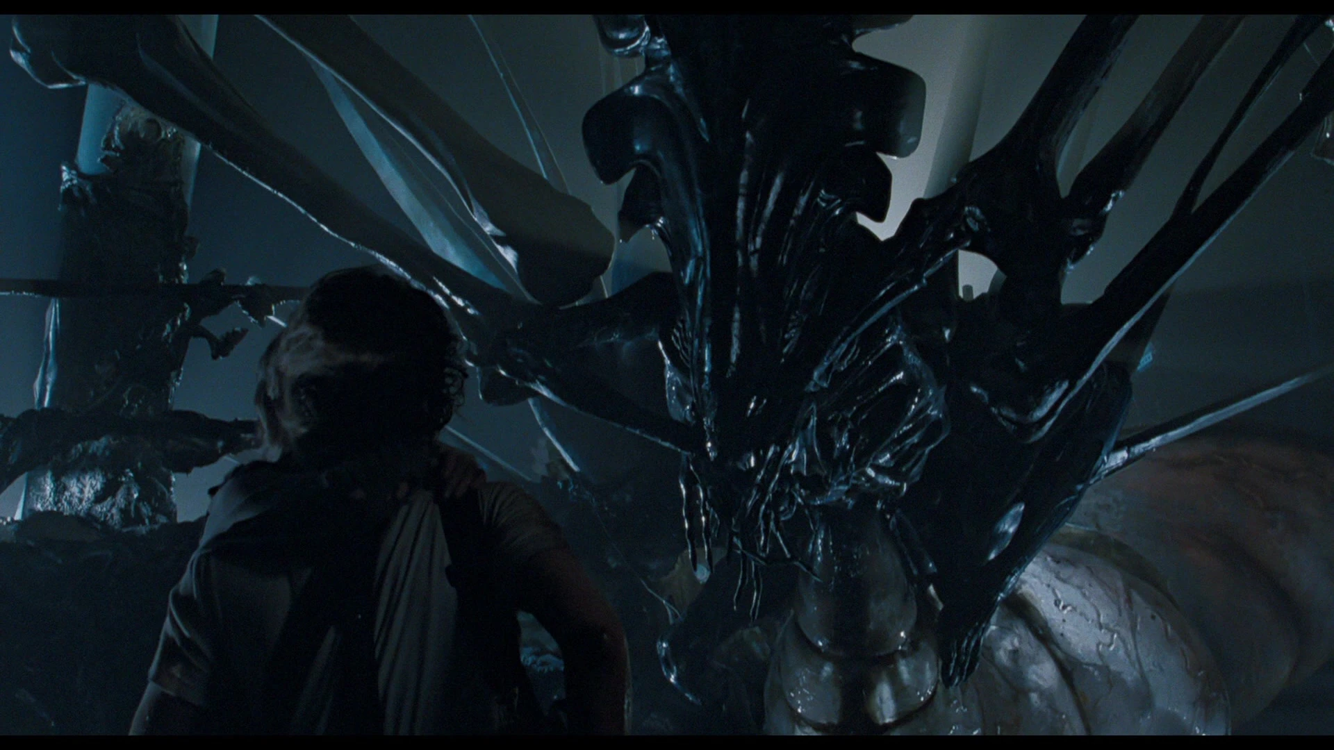 Question Theme: Movie Aliens | Fandom