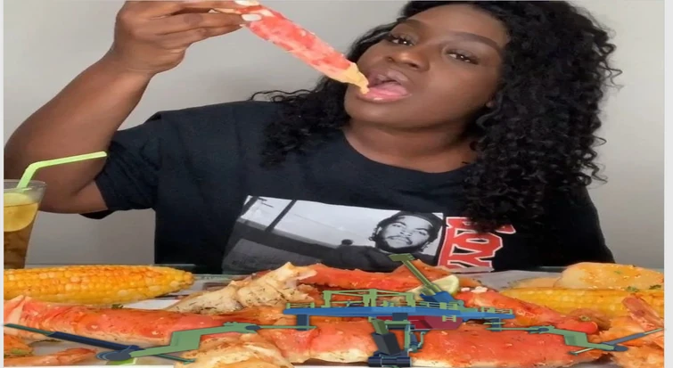 Discuss Everything About Dummies vs Noobs Wiki | Fandom