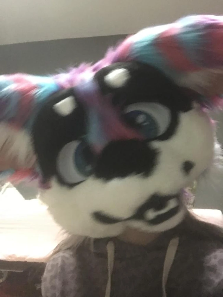 Progress on aeries fursuit woo. note these pics are already outdated hahdhfgh so uh yeah | Fandom