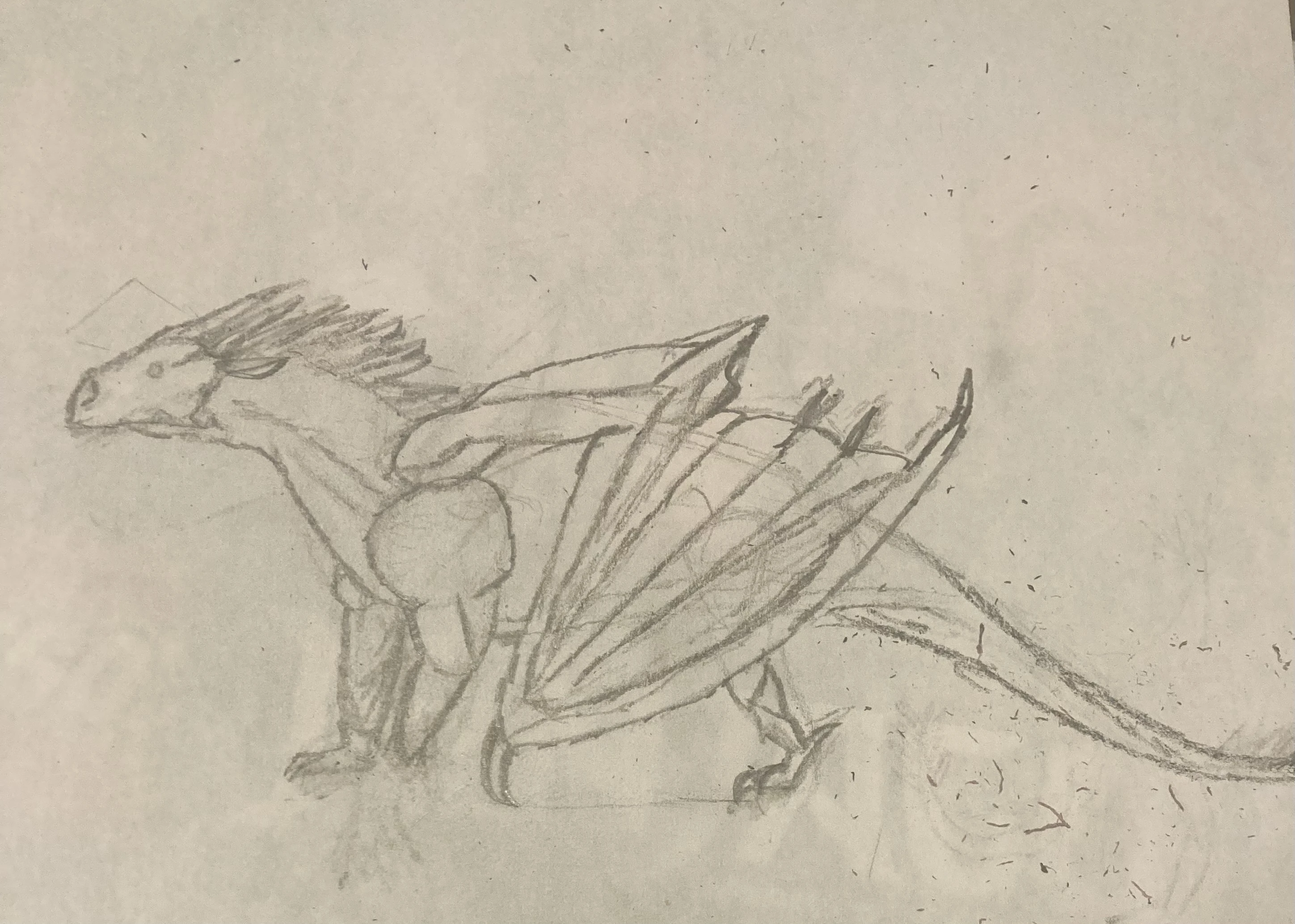 (Unfinished) I tried to draw an icewing | Fandom