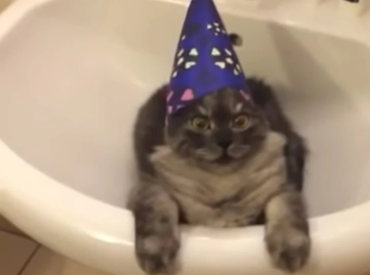 do you like r64 on roblox. | Fandom