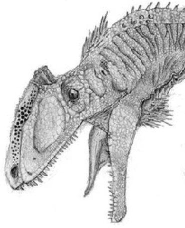 Discuss Everything About Dinopedia | Fandom