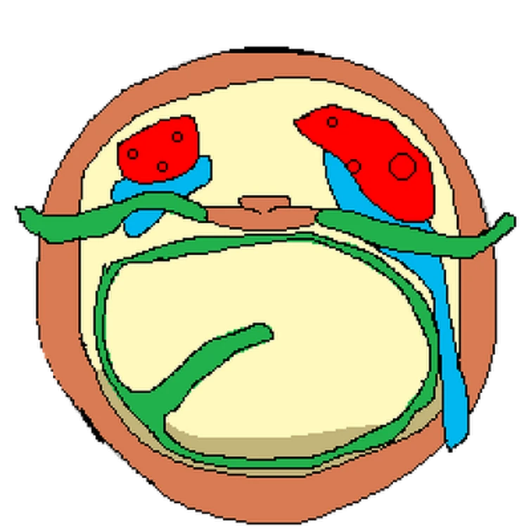 Hey you guys should check this fanmade E-183 page me and the bois just vandalized | Fandom