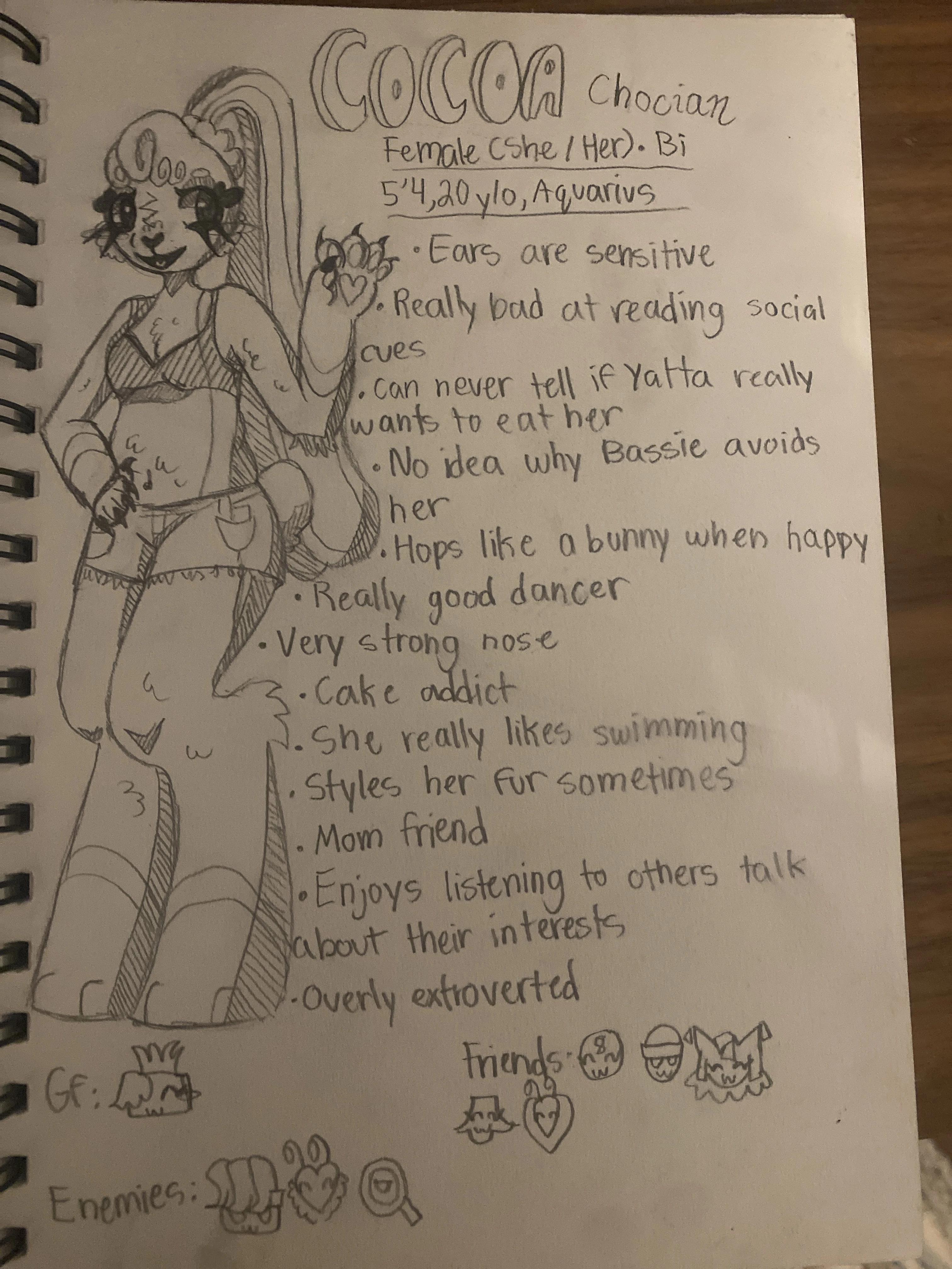 Toon Designs: Cocoa, Brusha & Finn! | Fandom