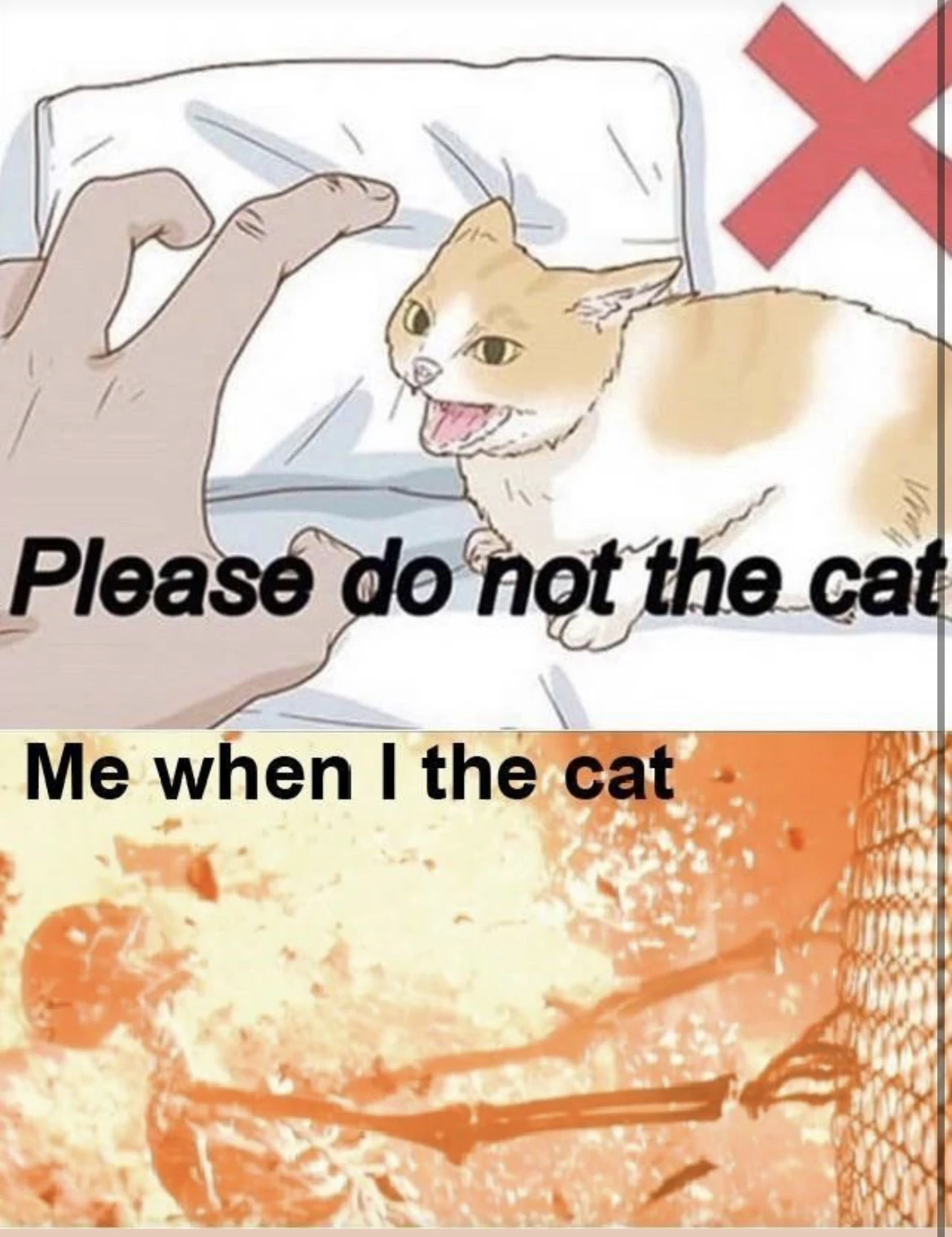 Please do not the cat | Fandom