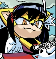 What Sonic character am I most like? | Fandom