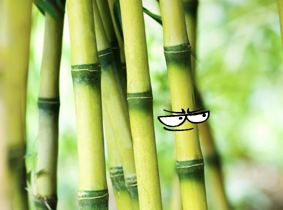 Bambu | Fandom