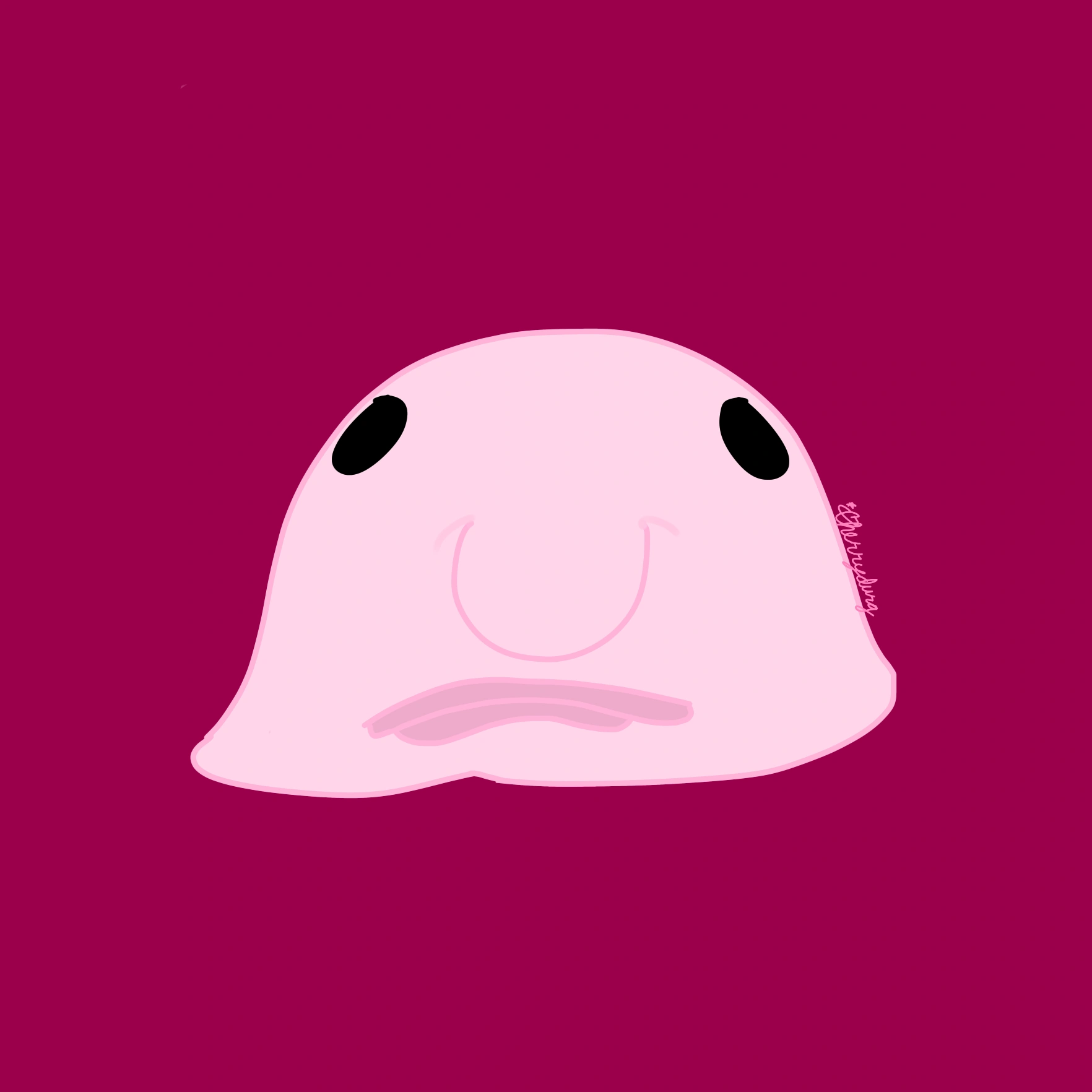 Blob fish | Fandom