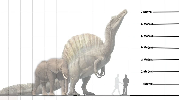 So does this video prove Spinosaurus wasn’t the largest Carnivorous ...