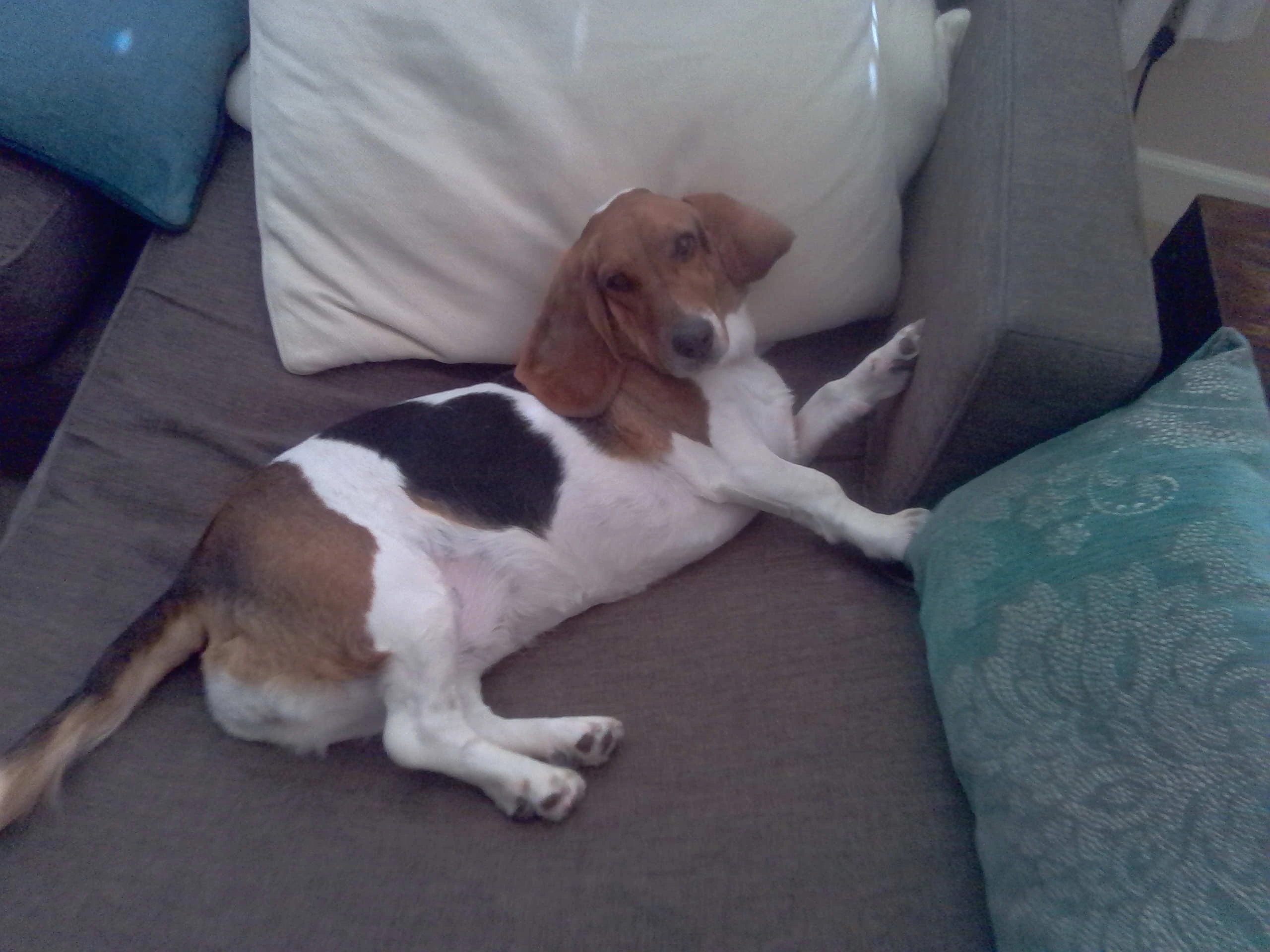 THIS TOOK ME SO LONG HKJDFVHWNVFTHGJBDMHJW | Fandom