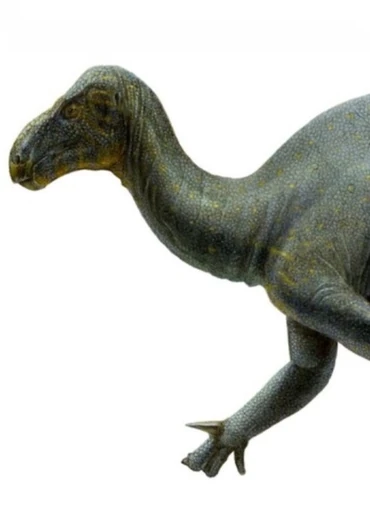 Discuss Everything About Dinopedia | Fandom