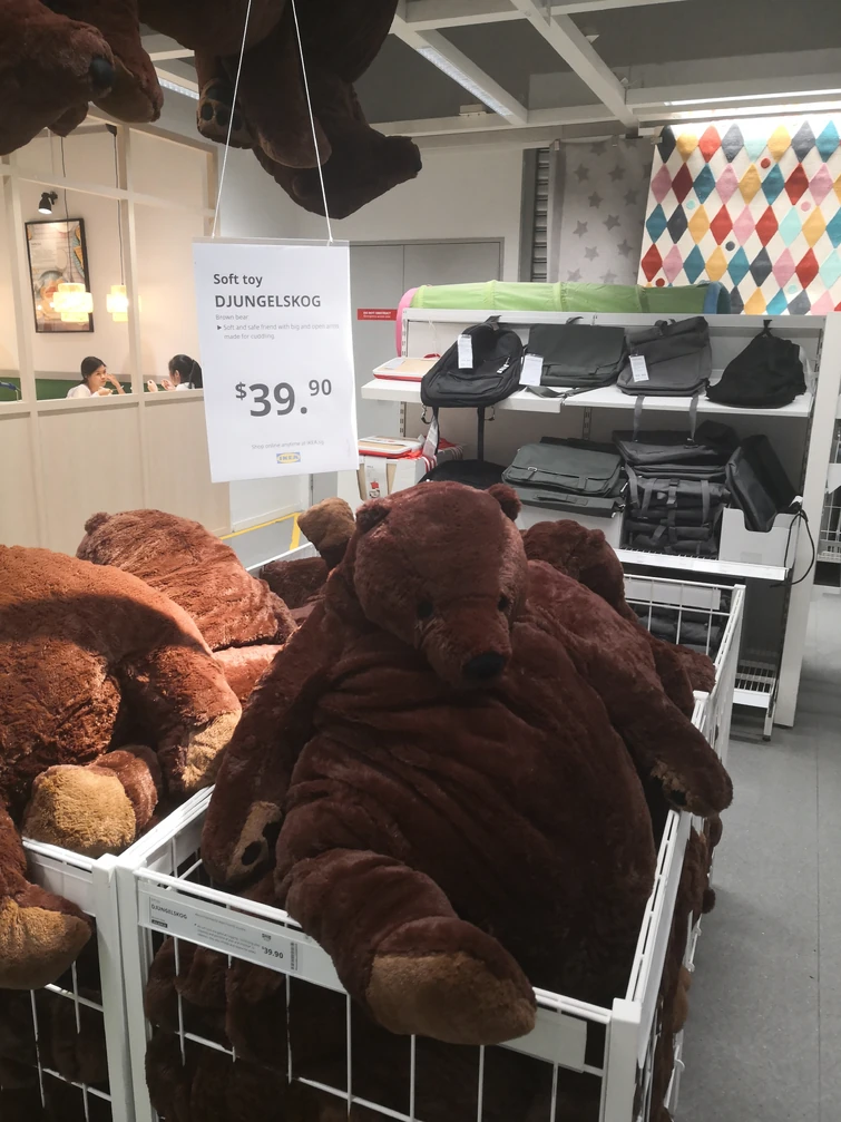 Discuss Everything About SCP-3008 ROBLOX Wiki | Fandom