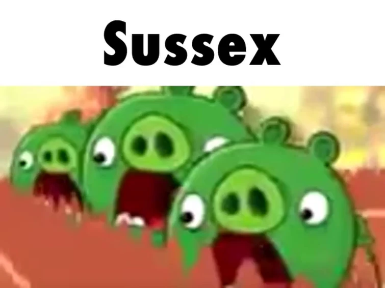 Send Angry Birds cursed images below! | Fandom