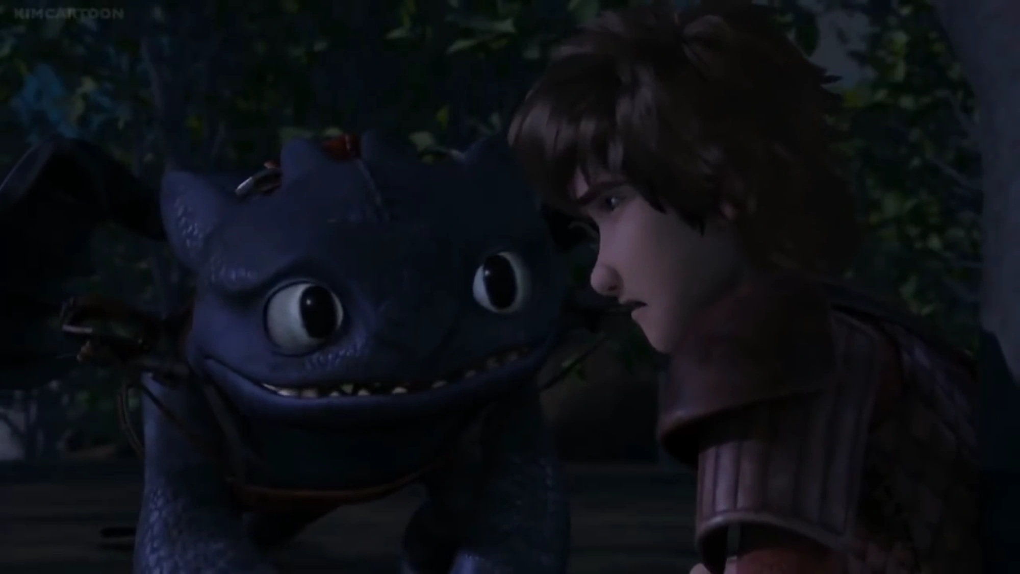 Toothless expression | Fandom