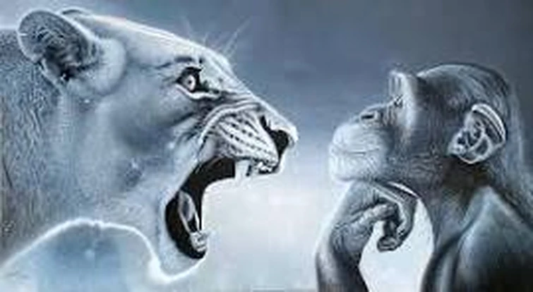 Bomb Rework Concept | Fandom