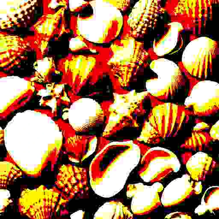 Turtle Fridge. 🐢 | Fandom