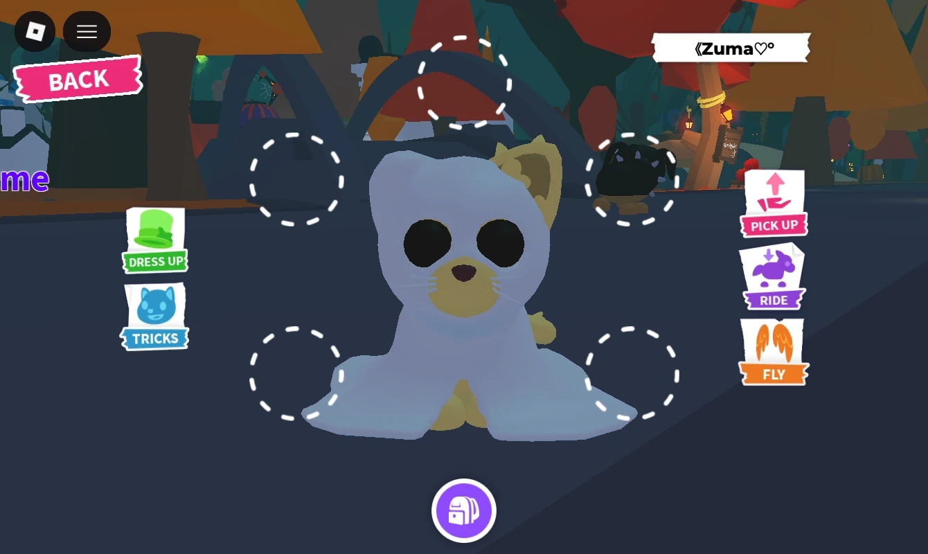 Finally named my ghostly cat :3 | Fandom