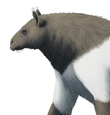 Dinopedia makes a Cenozoic Zoo game: Chalicothere (top 2 get added ...