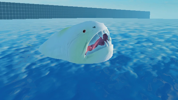 Discuss Everything About Oceanic (ROBLOX) Wiki | Fandom
