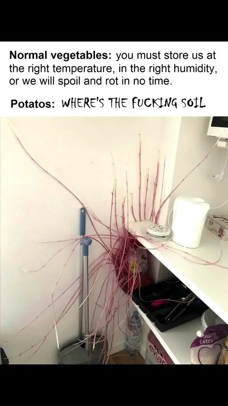 Can some of you guys send me some funny stuff | Fandom