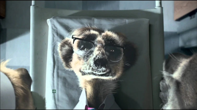 comparethemeerkat.com Sick Sergei | Fandom