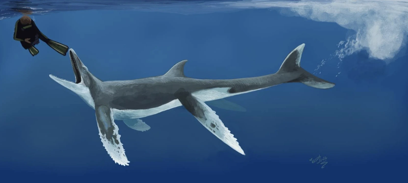 Megapterygius has entered the chat | Fandom