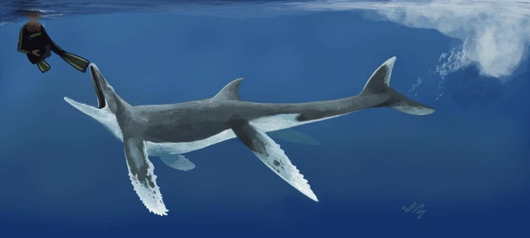 Megapterygius has entered the chat | Fandom