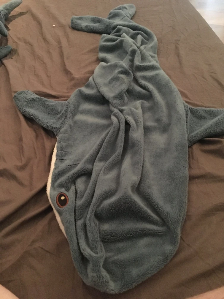 Sharkie noooooooooooo | Fandom