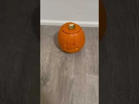 pumpkin punkin’: the sequel | Fandom