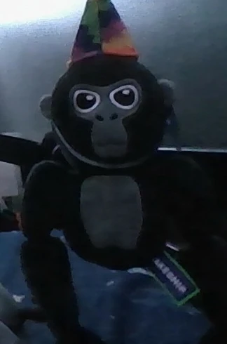 I finally got my Gtag plush | Fandom