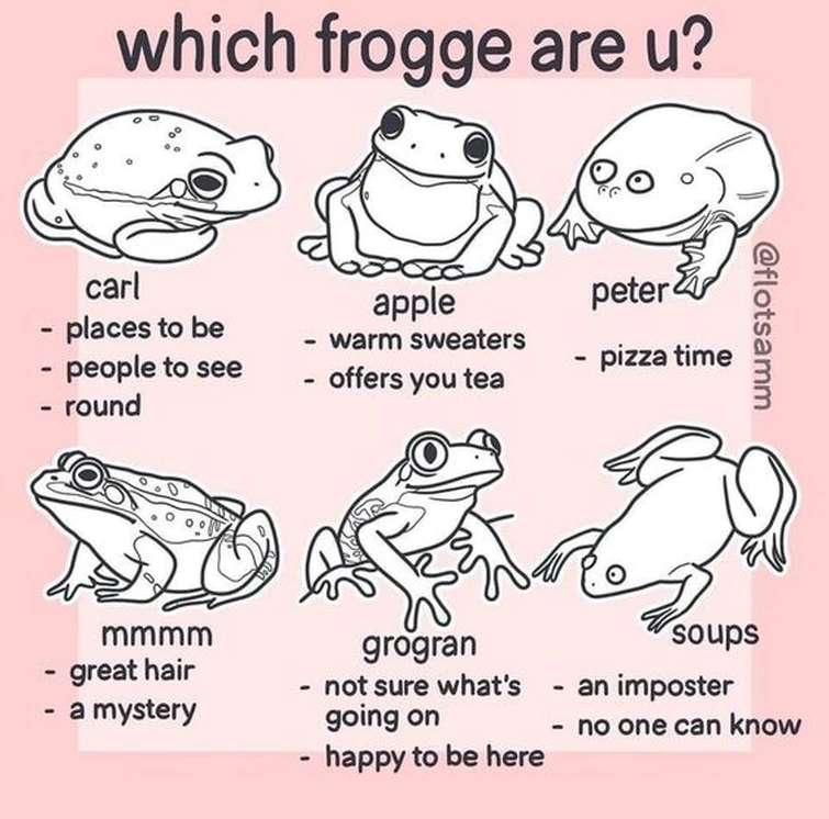 Which frogge are you? | Fandom