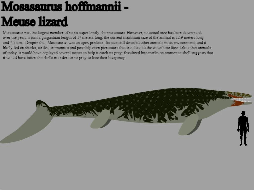 Mosasaurus art | Fandom