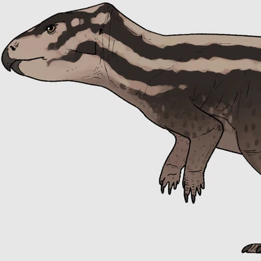 Discuss Everything About Dinopedia | Fandom