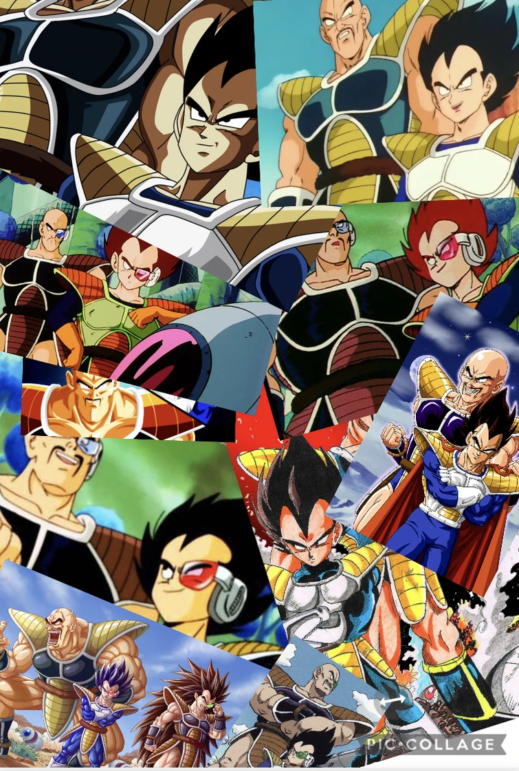 Nappa and Vegeta | Fandom