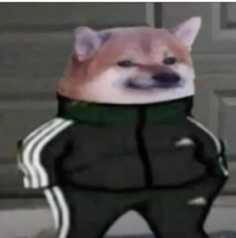 the chad doggo group | Fandom