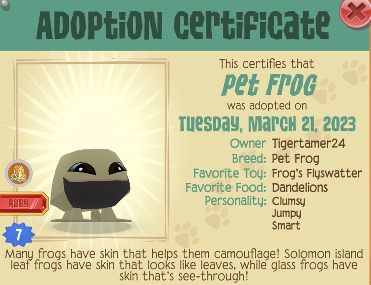 I love my black bellied token frogs | Fandom