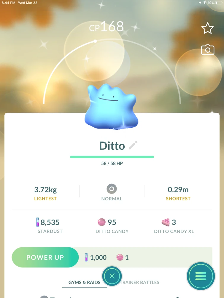 I Got the Shiny Ditto! | Fandom