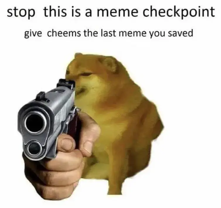 Stop, this is a meme checkpoint: | Fandom