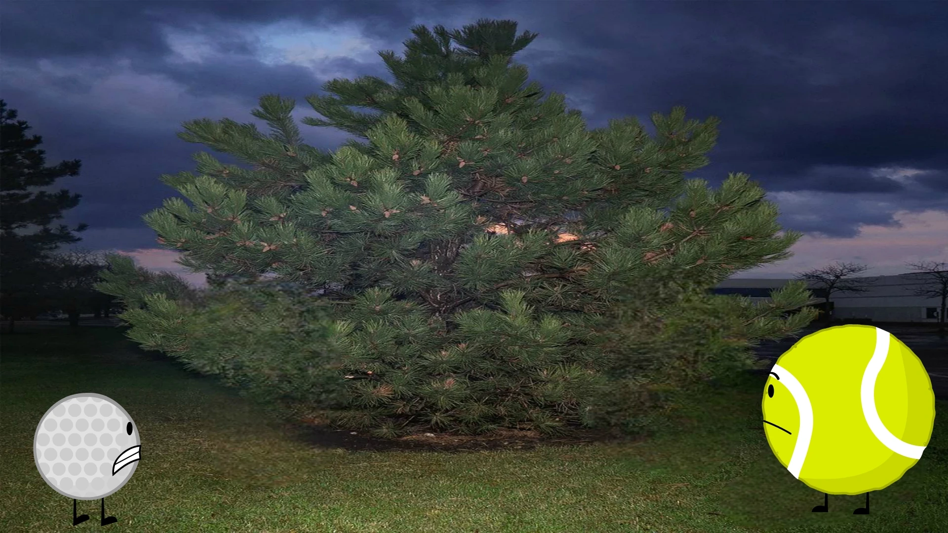 "what do you think that bush looks like?" | Fandom