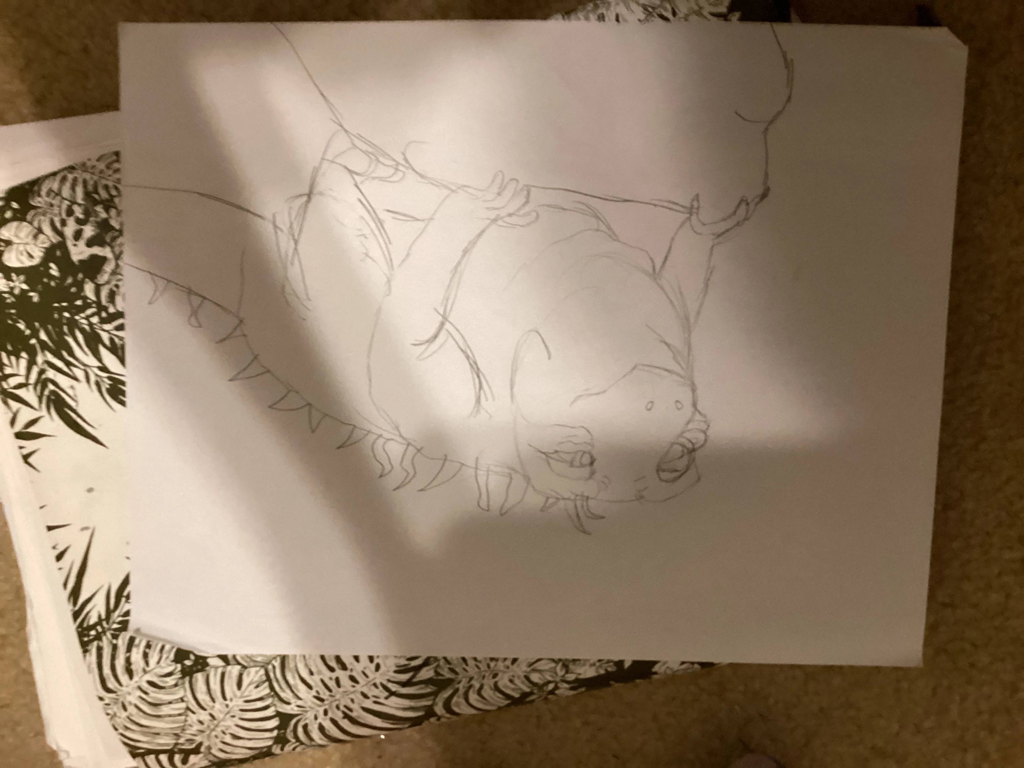 I drew Leo from Leo! | Fandom