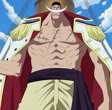 Who would in (one piece edition) | Fandom
