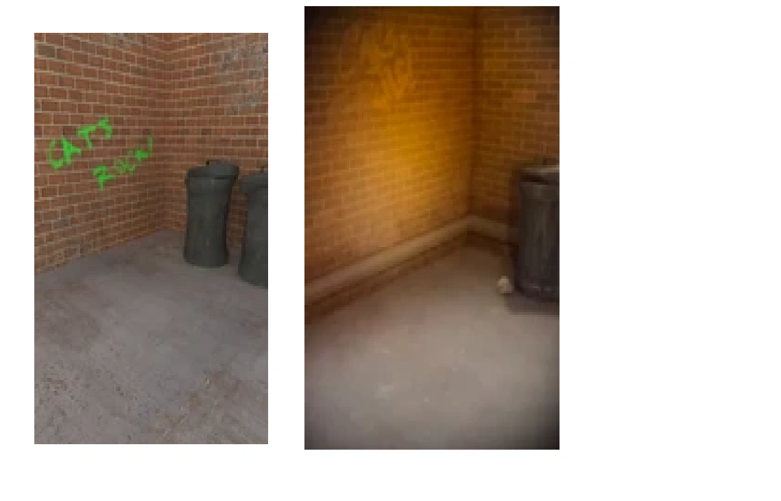 What Is The Difference? | Fandom