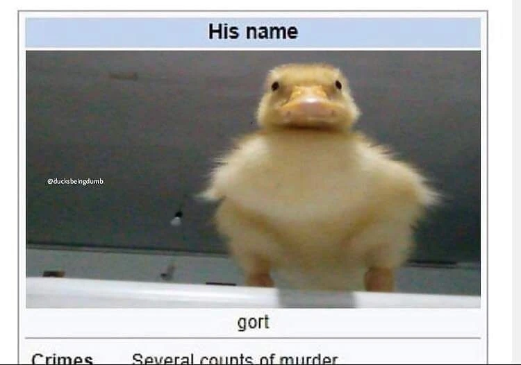 Gort | Fandom