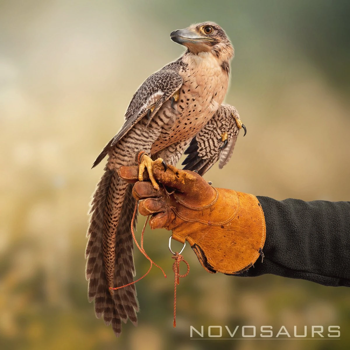 Novosaurs | Fandom
