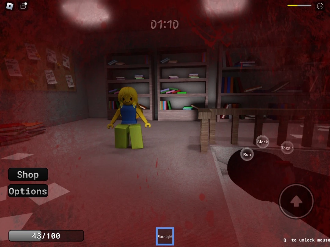 i finally got to see what i looked like in game ^w^ (FPE:S on roblox) | Fandom