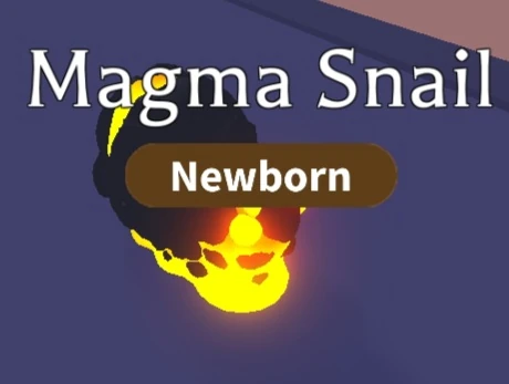 Trading 2 toasty red panda and a magma snail | Fandom