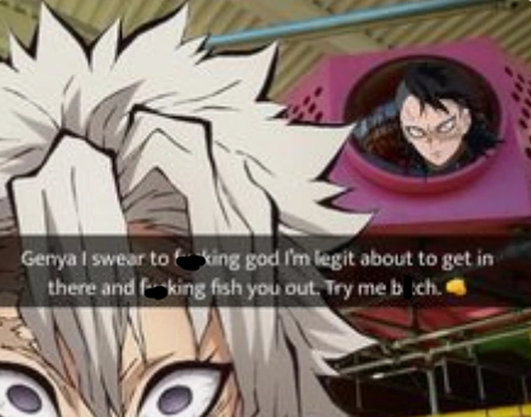 Pictures and memes of Genya and Sanemi because it’s Genya’s birthday ...