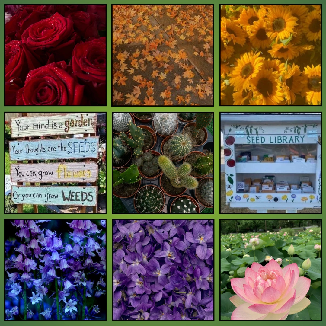 (🌹🍂🌻🌵🌲🪻🪷) Coming Soon... | Fandom