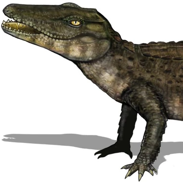 Discuss Everything About Dinopedia | Fandom